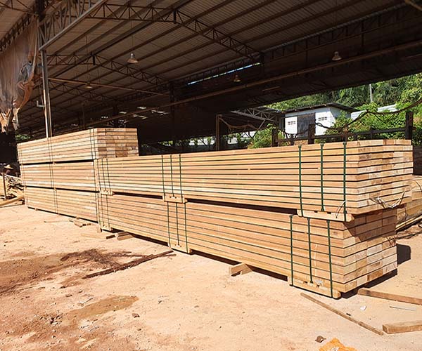 Kamwo Timber | Sawmill | Timber | Solid Wood | Timber Products